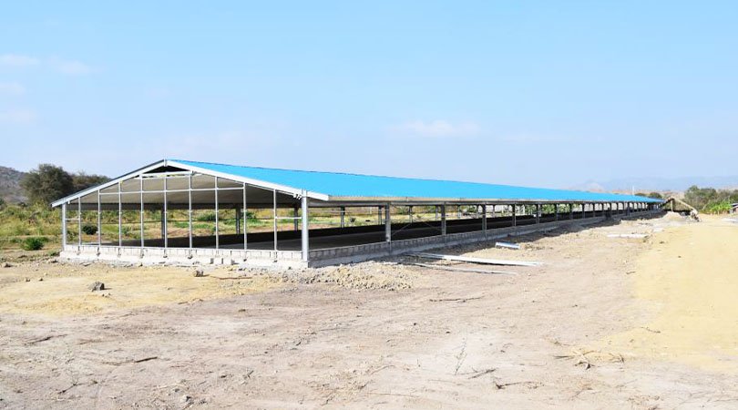 Prefab Light Steel Structure Broiler Chicken Coop House Poultry House